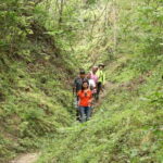 Vallarta Riviera Nayarit: ATV Tour Single Rider + hiking - Practical Tips for Participants