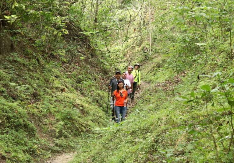 Vallarta Riviera Nayarit: ATV Tour Single Rider + hiking - Practical Tips for Participants