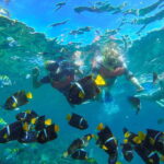 Vallarta: Yelapa Waterfall & Majahuitas Snorkel Adventure - Whats Included and Whats Not