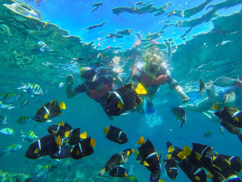 Vallarta: Yelapa Waterfall & Majahuitas Snorkel Adventure - Whats Included and Whats Not
