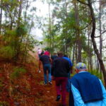 Valle de Bravo: Forest Hiking Adventure - Practical Tips for Participants