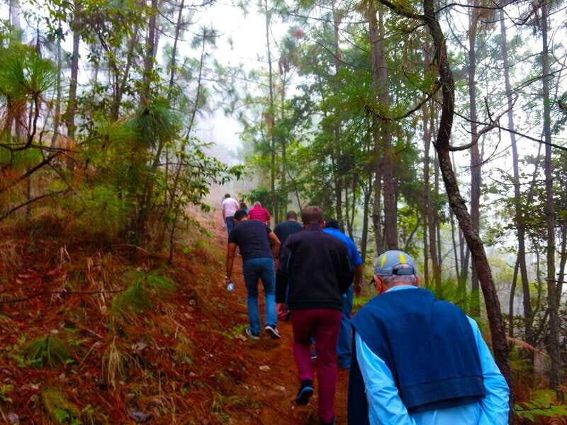 Valle de Bravo: Forest Hiking Adventure - Practical Tips for Participants