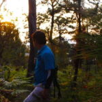 Valle de Bravo: Magical night at the forest - The Value of the Tour