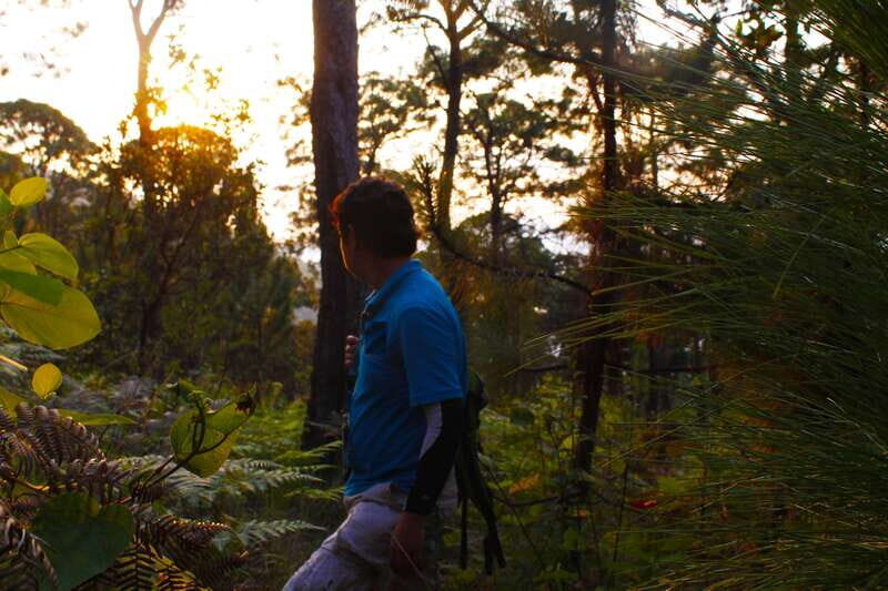 Valle de Bravo: Magical night at the forest - The Value of the Tour