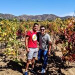 "Valle de Guadalupe", Live, Enjoy and Meet the Golden Valley - The Sum Up