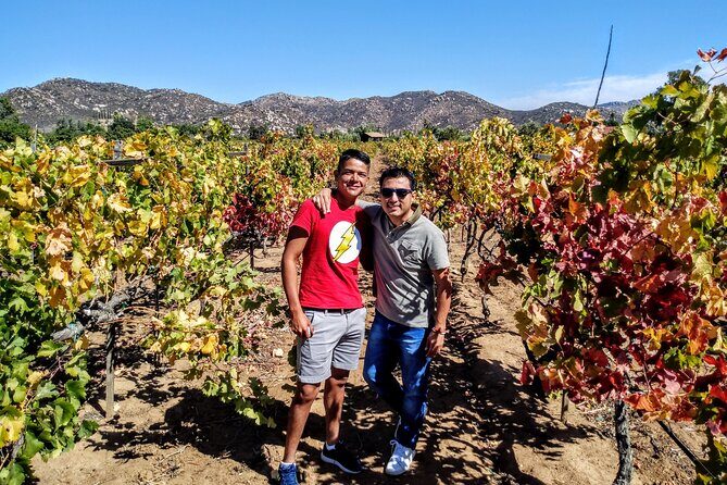 "Valle de Guadalupe", Live, Enjoy and Meet the Golden Valley - The Sum Up