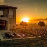 Valle de Guadalupe: Wine Tasting and Wagon Tour - The Setting: Valle de Guadalupe