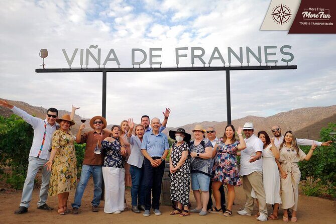 Valle de Guadalupe winery and brewery tours - Visiting the Wineries: What You’ll Experience