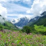 Valley of Flowers and Hemkund Trek- Banbanjara - The Itinerary in Detail: What You Can Expect