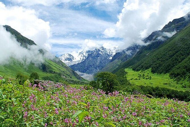 Valley of Flowers and Hemkund Trek- Banbanjara - The Itinerary in Detail: What You Can Expect