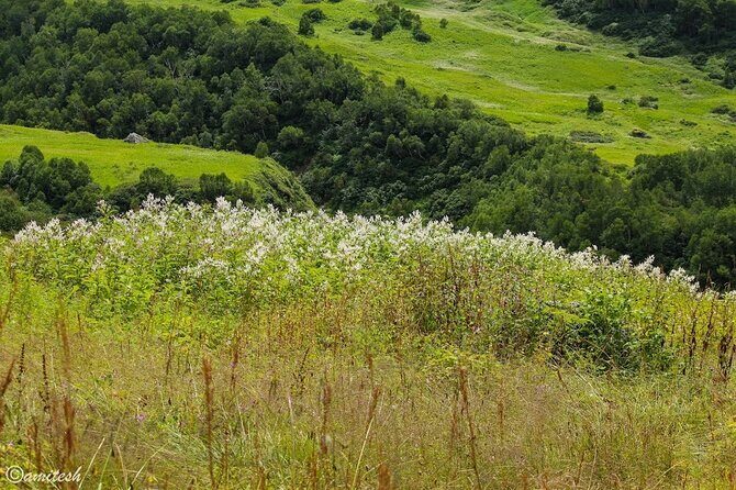 Valley Of Flowers Trek - Who Should Consider This Tour?
