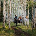 Valley Vista 1.5 Hour Horseback Trail Ride in Kananaskis - A Detailed Look at the Experience