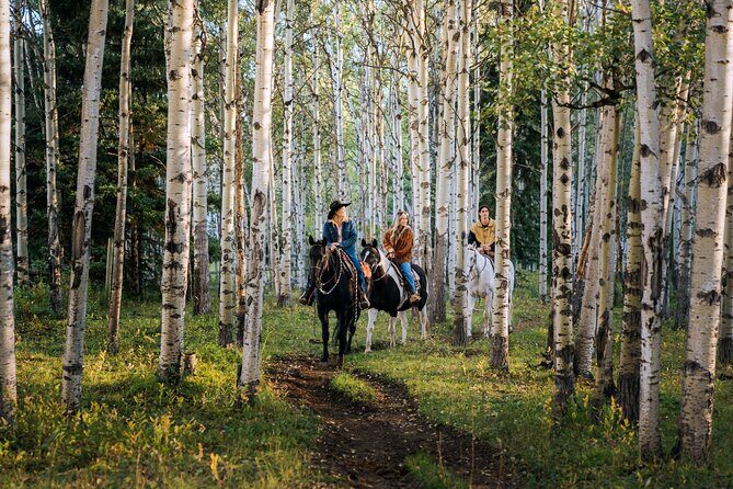 Valley Vista 1.5 Hour Horseback Trail Ride in Kananaskis - A Detailed Look at the Experience
