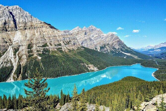 Vancouver 5 Day Rocky Mountain Adventure with Accommodation - What Previous Travelers Say