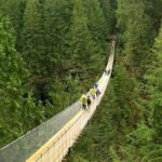 Vancouver and Capilano Park Private Tour - The Itinerary Breakdown