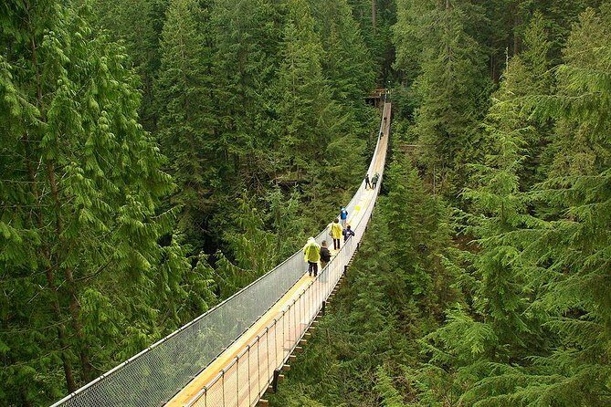Vancouver and Capilano Park Private Tour - The Itinerary Breakdown