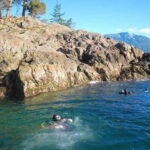 Vancouver: Boat Dive for Certified Diver, Tank & Weight Incl - Final Thoughts: Is It Worth It?