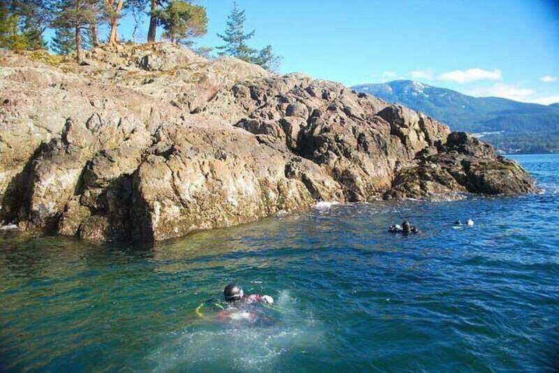 Vancouver: Boat Dive for Certified Diver, Tank & Weight Incl - Final Thoughts: Is It Worth It?