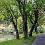 Vancouver Botanical Gardens & Museum Private Explorer - Who Will Love This Tour?