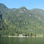Vancouver Brunch Cruise - Who Is This Tour Best For?