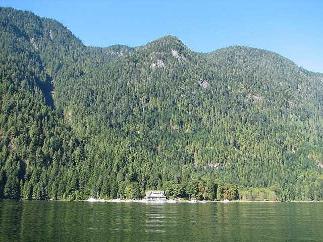 Vancouver Brunch Cruise - Who Is This Tour Best For?