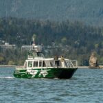 Vancouver: Catamaran Whale Watching Tour, Granville Island - What You’ll Experience on Deck