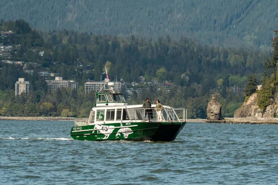 Vancouver: Catamaran Whale Watching Tour, Granville Island - What You’ll Experience on Deck
