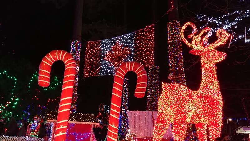 Vancouver: Christmas Tour with Light Festival Entrance - Analyzing the Value