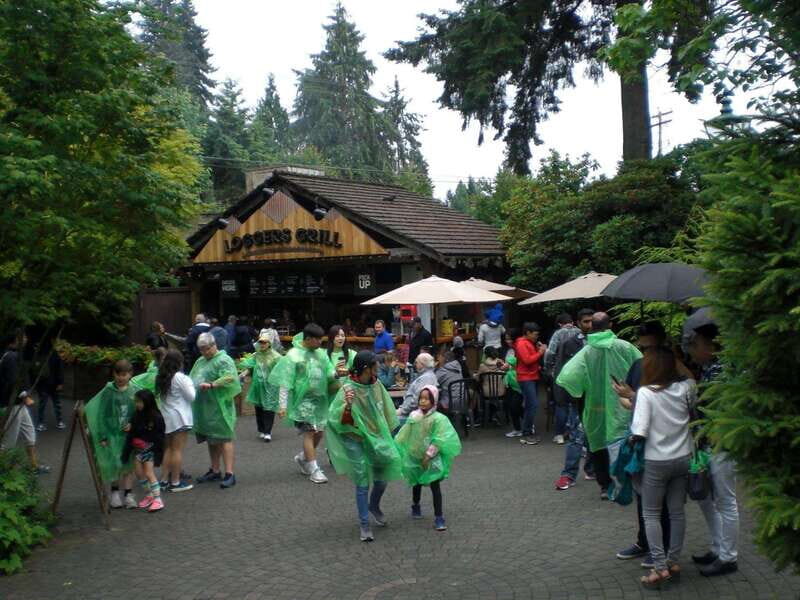 Vancouver: City and Mountain Adventure with Grouse Mountain - Transitioning to the Mountain Escape