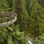 Vancouver City Sightseeing Tour: Capilano Suspension Bridge & Vancouver Lookout - What the Tour Includes and What It Doesn’t