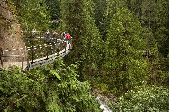 Vancouver City Sightseeing Tour: Capilano Suspension Bridge & Vancouver Lookout - What the Tour Includes and What It Doesn’t