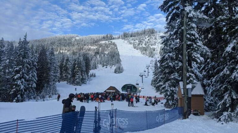 Vancouver city tour & Adventure at Cypress Mountain Private - Why This Tour Offers Great Value