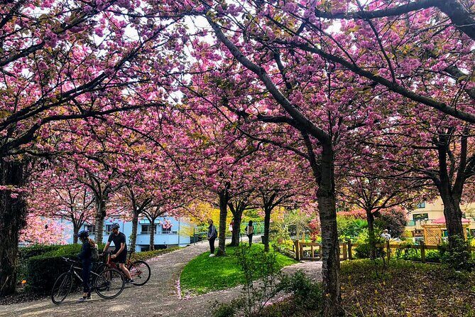 Vancouver City Tour with Cherry Blossom Festival Private - Who Is This Tour Best For?
