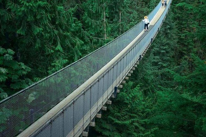 Vancouver City Tour With Stanley, Grouse Mountain & Capillano Suspension Private - The Practical Side: Transportation, Duration, and Cost