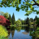 Vancouver Day Tour | Visit The Most Unique Places! Private - Authentic Experiences and Authenticities
