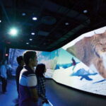Vancouver: Flyover Experience Ticket - What Visitors Love Most