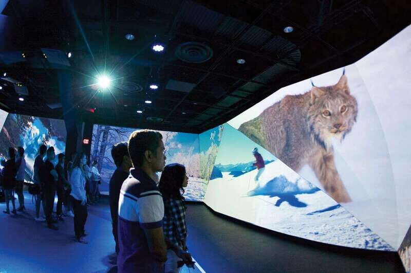 Vancouver: Flyover Experience Ticket - What Visitors Love Most