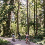 Vancouver: Guided Bike Tour - Stanley Park and its Coastal Beauty