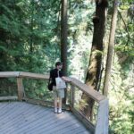 Vancouver Highlights: Capilano Bridge & Granville Island - The Itinerary Breakdown: From Downtown to the Forests