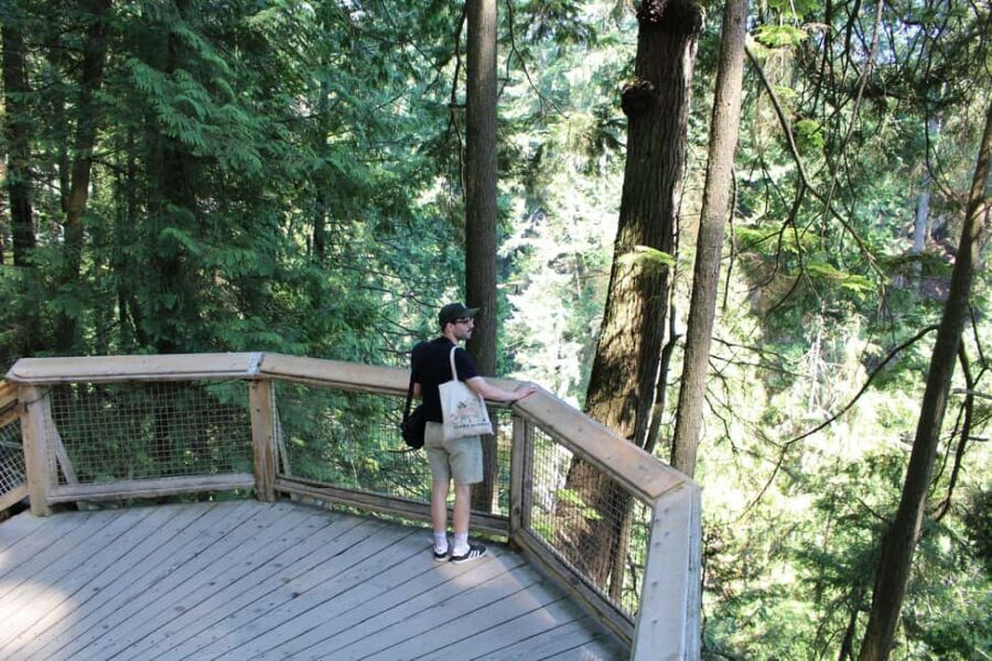 Vancouver Highlights: Capilano Bridge & Granville Island - The Itinerary Breakdown: From Downtown to the Forests