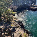 Vancouver: Lighthouse Park Hike - What Makes This Tour Valuable?