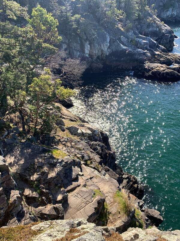 Vancouver: Lighthouse Park Hike - What Makes This Tour Valuable?