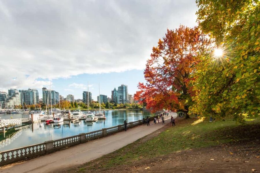 Vancouver Lookout Private Tour with Skip-the-line Tickets - The Experience Through the Eyes of Past Travelers