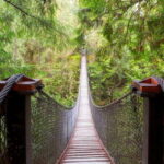 Vancouver: Lynn Valley Suspension Bridge & Nature Walk Tour - What Makes This Tour Stand Out?