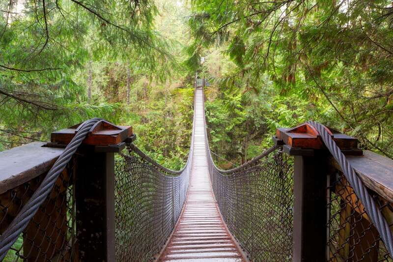 Vancouver: Lynn Valley Suspension Bridge & Nature Walk Tour - What Makes This Tour Stand Out?