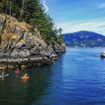 Vancouver: Morning Kayak & Seal Cruise - Who Will Love This Tour?