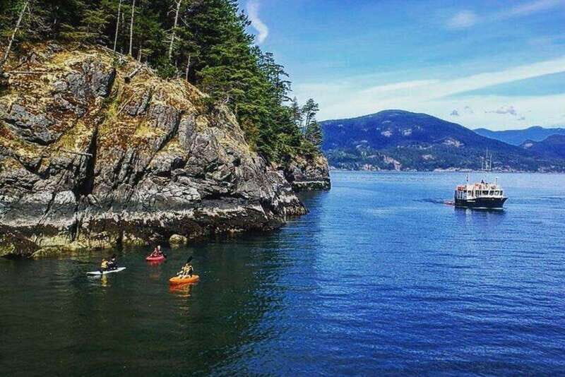 Vancouver: Morning Kayak & Seal Cruise - Who Will Love This Tour?
