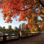Vancouver : Must-See Attractions Walking Tour With A Guide - Who Will Enjoy This Tour?