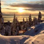 Vancouver Panoramic View Hike - Authentic Reviews and Traveler Perspectives