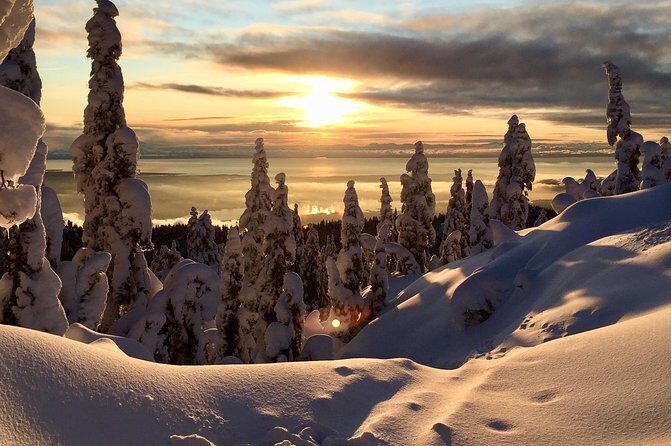 Vancouver Panoramic View Hike - Authentic Reviews and Traveler Perspectives